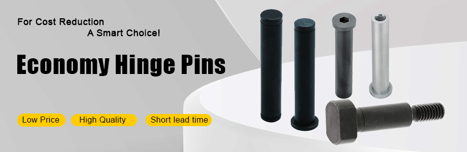 Economy Hinge Pins | MISUMI India